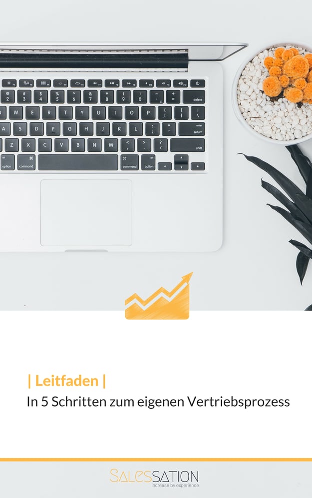 Download Leitfaden Vertriebsprozess
